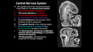 Isuog fetal cns usg guidelines | PPTX