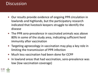 Untangling the respiratory disease complex in small ruminants in ...