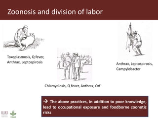 Awareness of zoonoses among smallholder livestock producers in Ethiopia ...