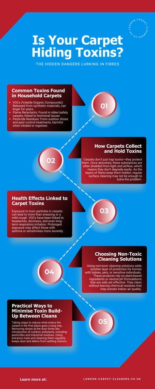 Is Your Carpet Hiding Toxins? The Hidden Dangers Lurking in Fibres | PDF
