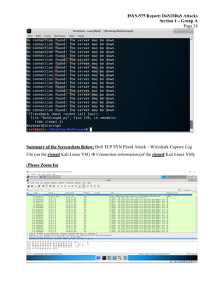 Denial of Service Attack Project | PDF