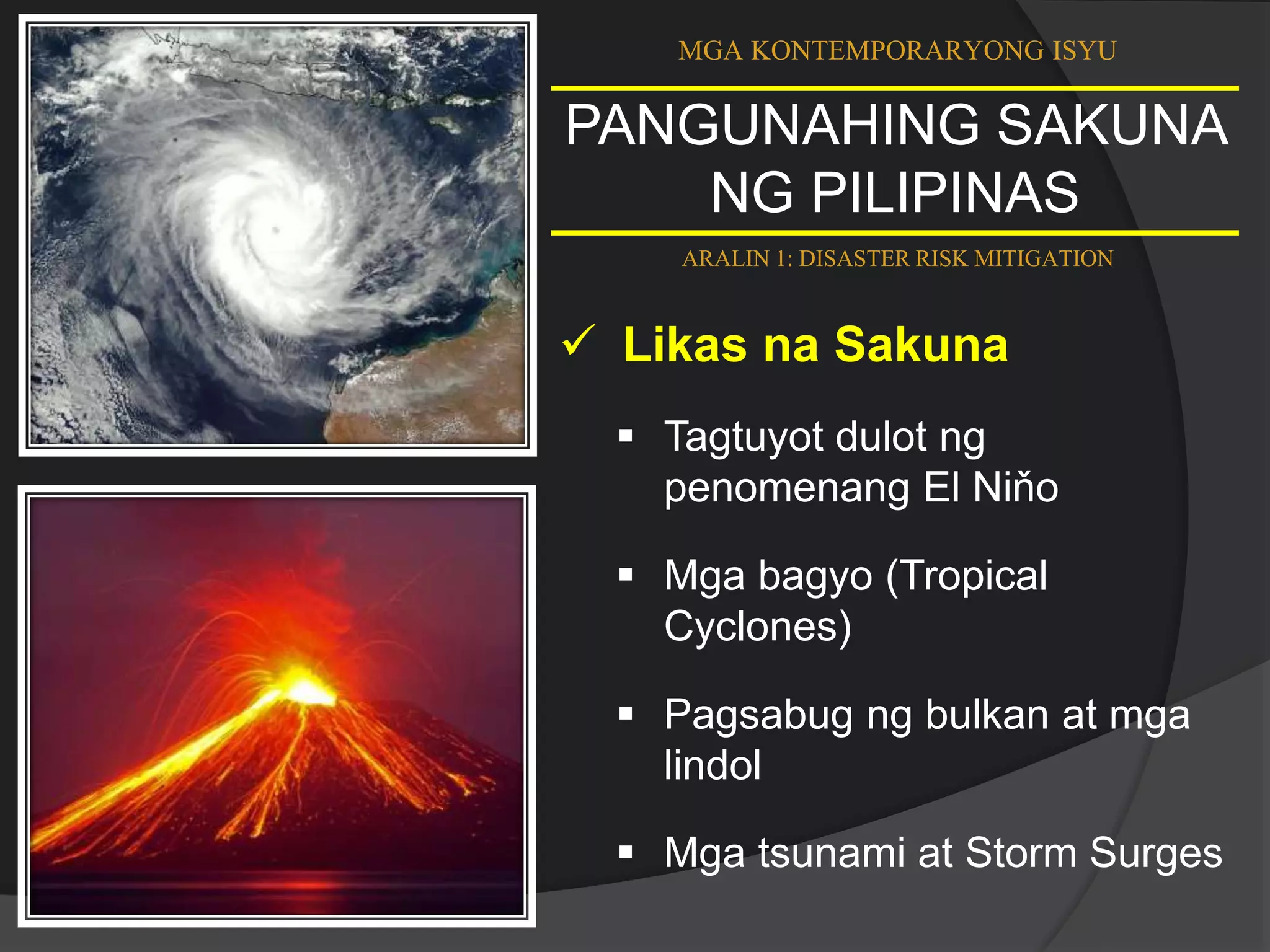 DISASTER RISK MITIGATION - AP 10 | PPTX