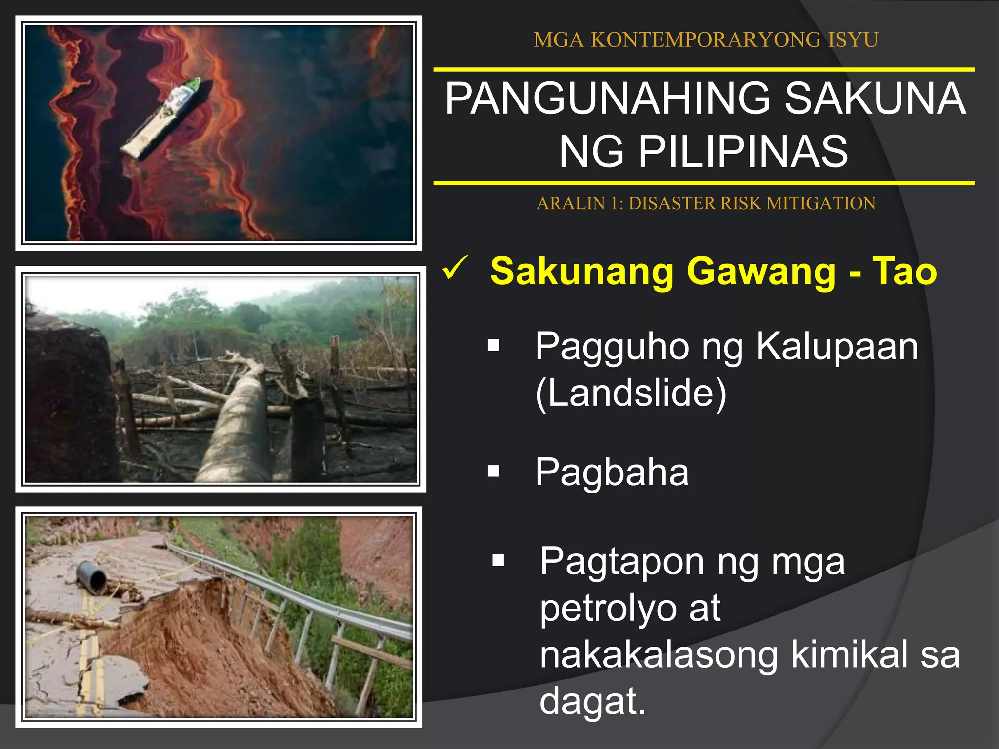 DISASTER RISK MITIGATION - AP 10 | PPTX