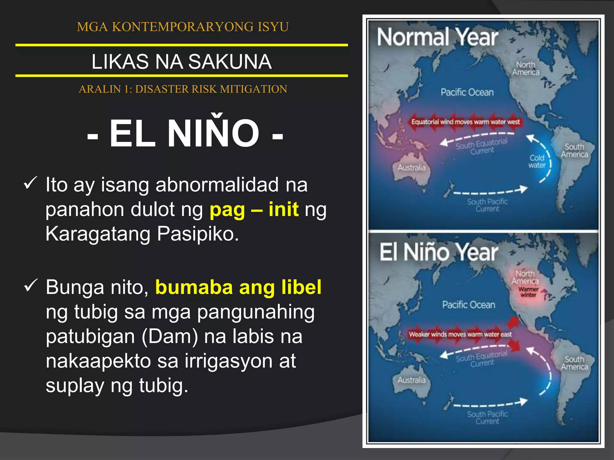 DISASTER RISK MITIGATION - AP 10 | PPTX