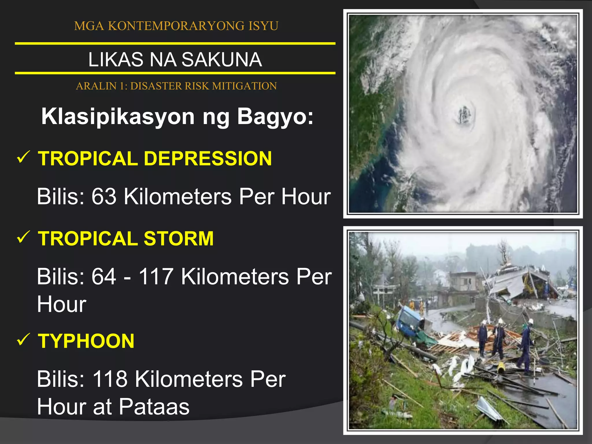 DISASTER RISK MITIGATION - AP 10 | PPTX