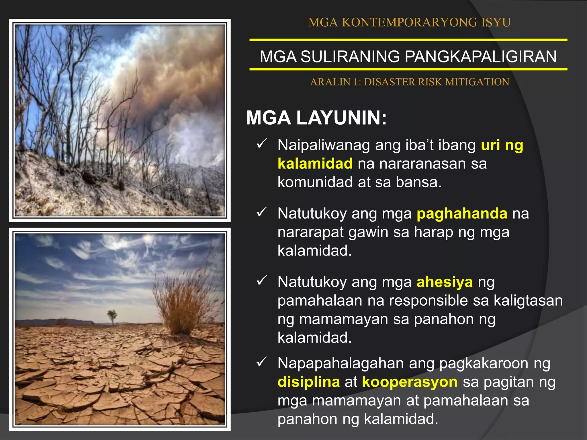 DISASTER RISK MITIGATION - AP 10 | PPTX