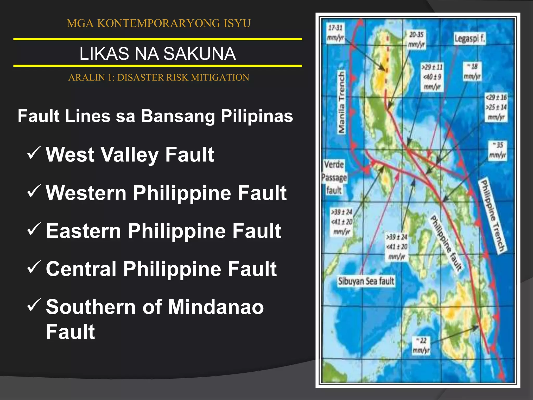 DISASTER RISK MITIGATION - AP 10 | PPTX