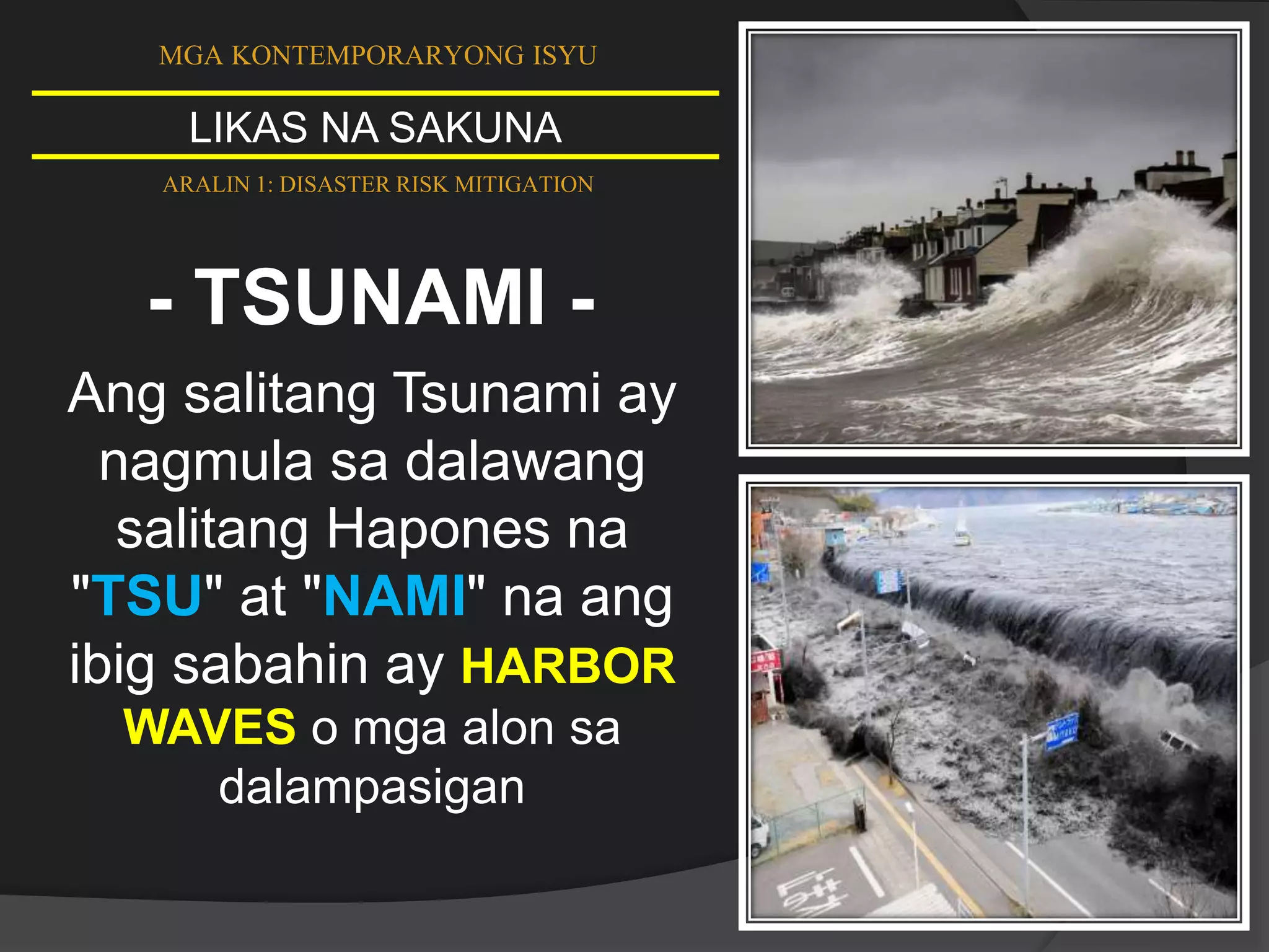 DISASTER RISK MITIGATION - AP 10 | PPTX