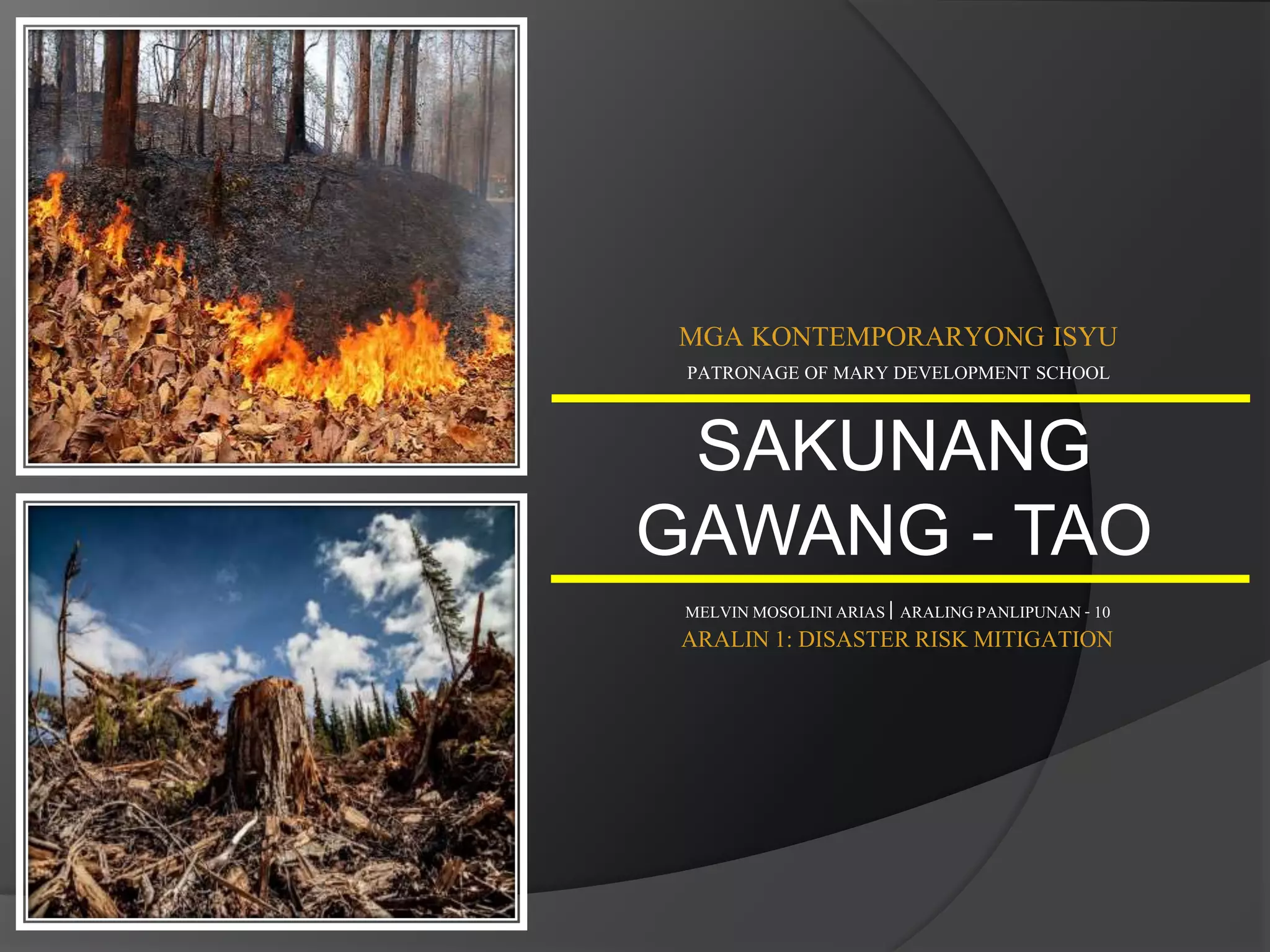 DISASTER RISK MITIGATION - AP 10 | PPTX