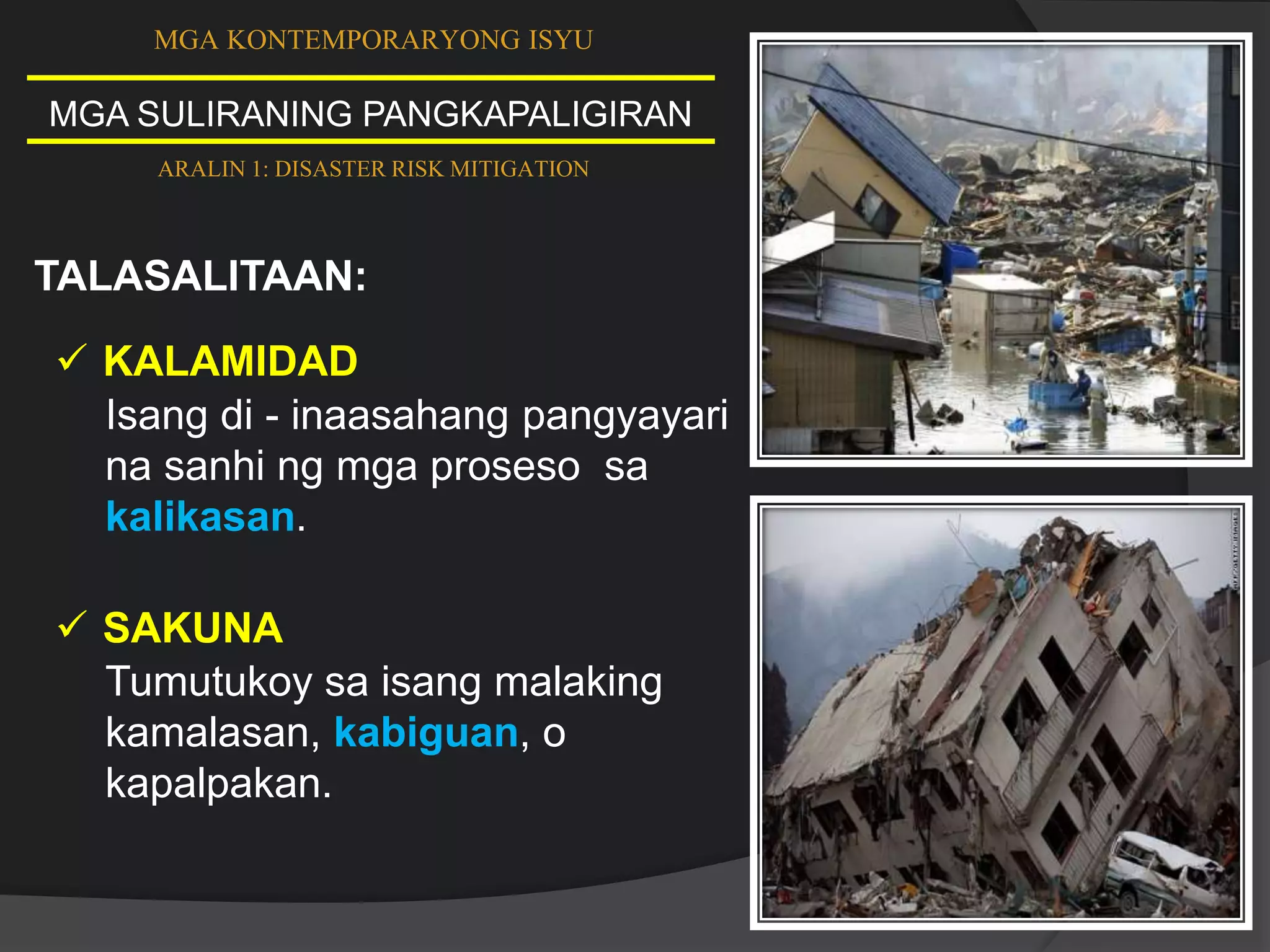 DISASTER RISK MITIGATION - AP 10 | PPTX