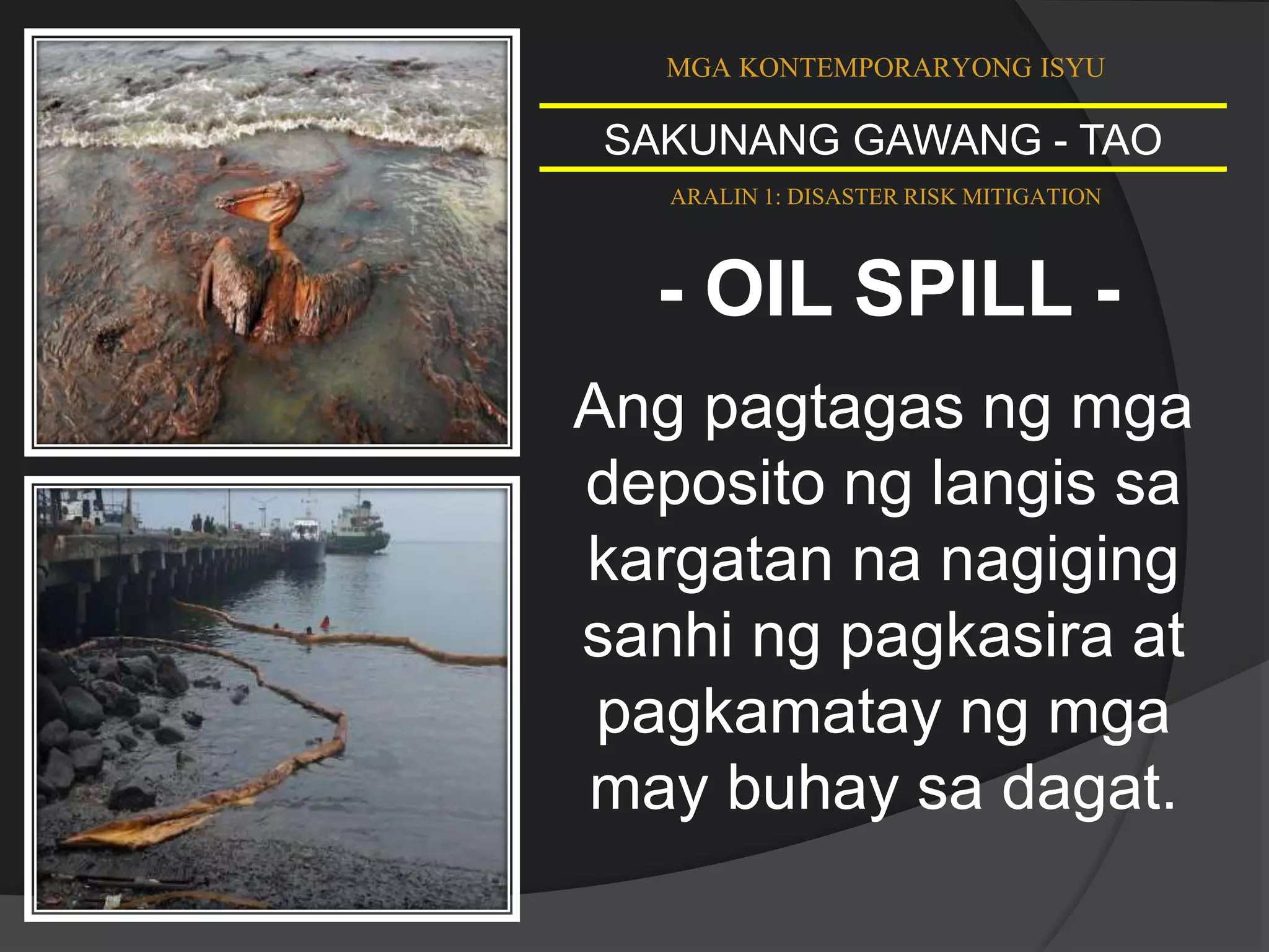 DISASTER RISK MITIGATION - AP 10 | PPTX