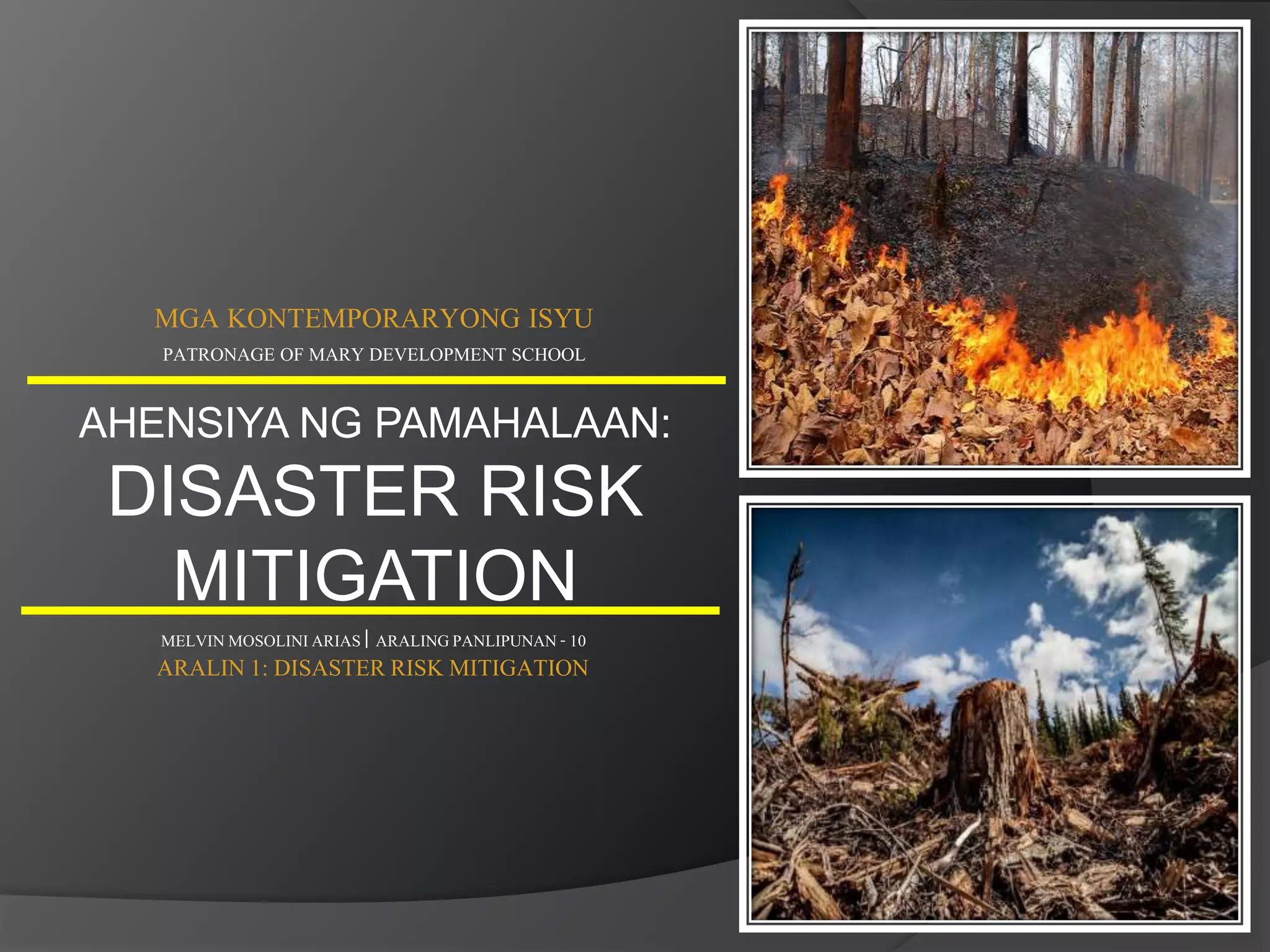 DISASTER RISK MITIGATION - AP 10 | PPTX