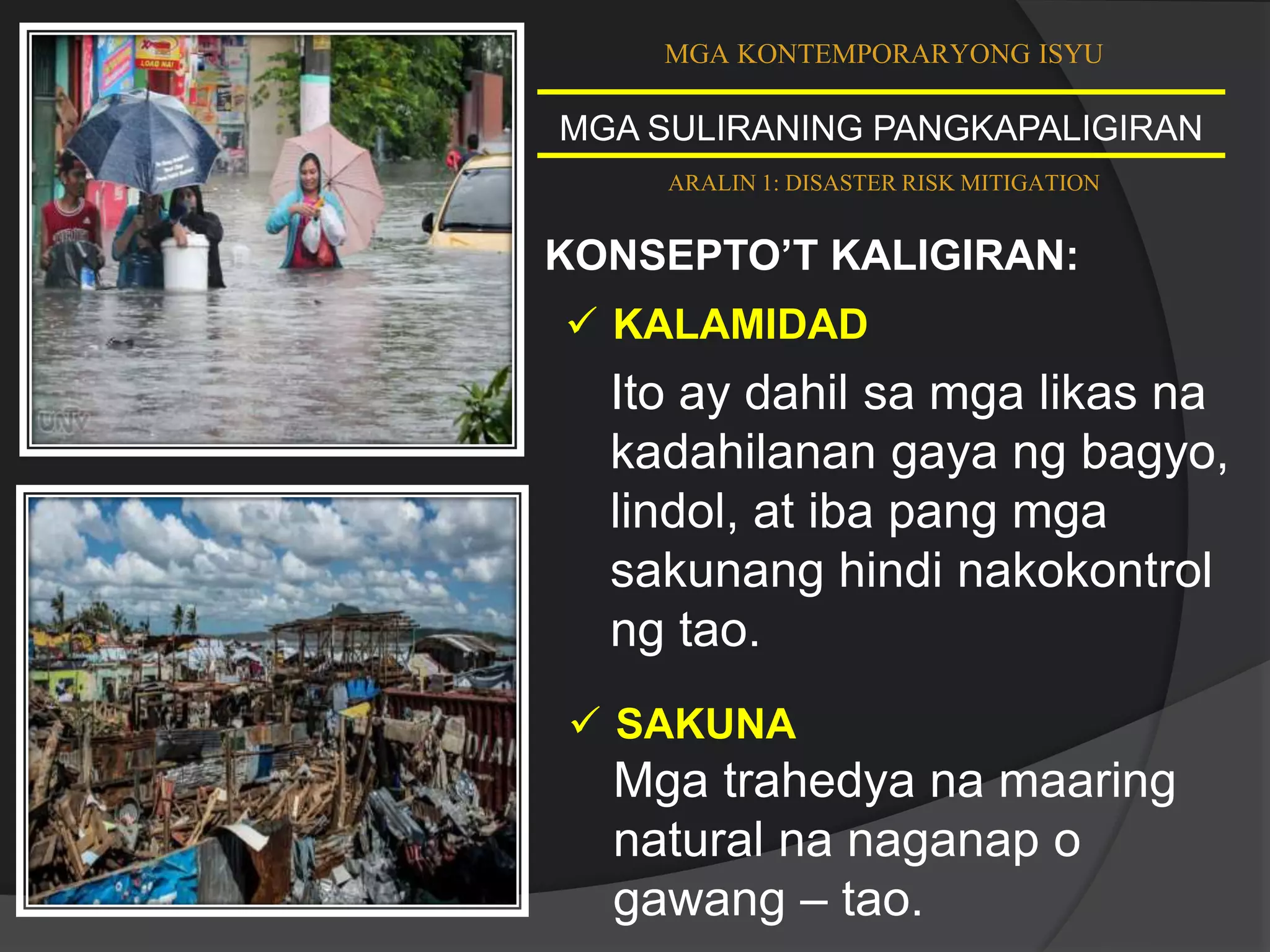 DISASTER RISK MITIGATION - AP 10 | PPTX