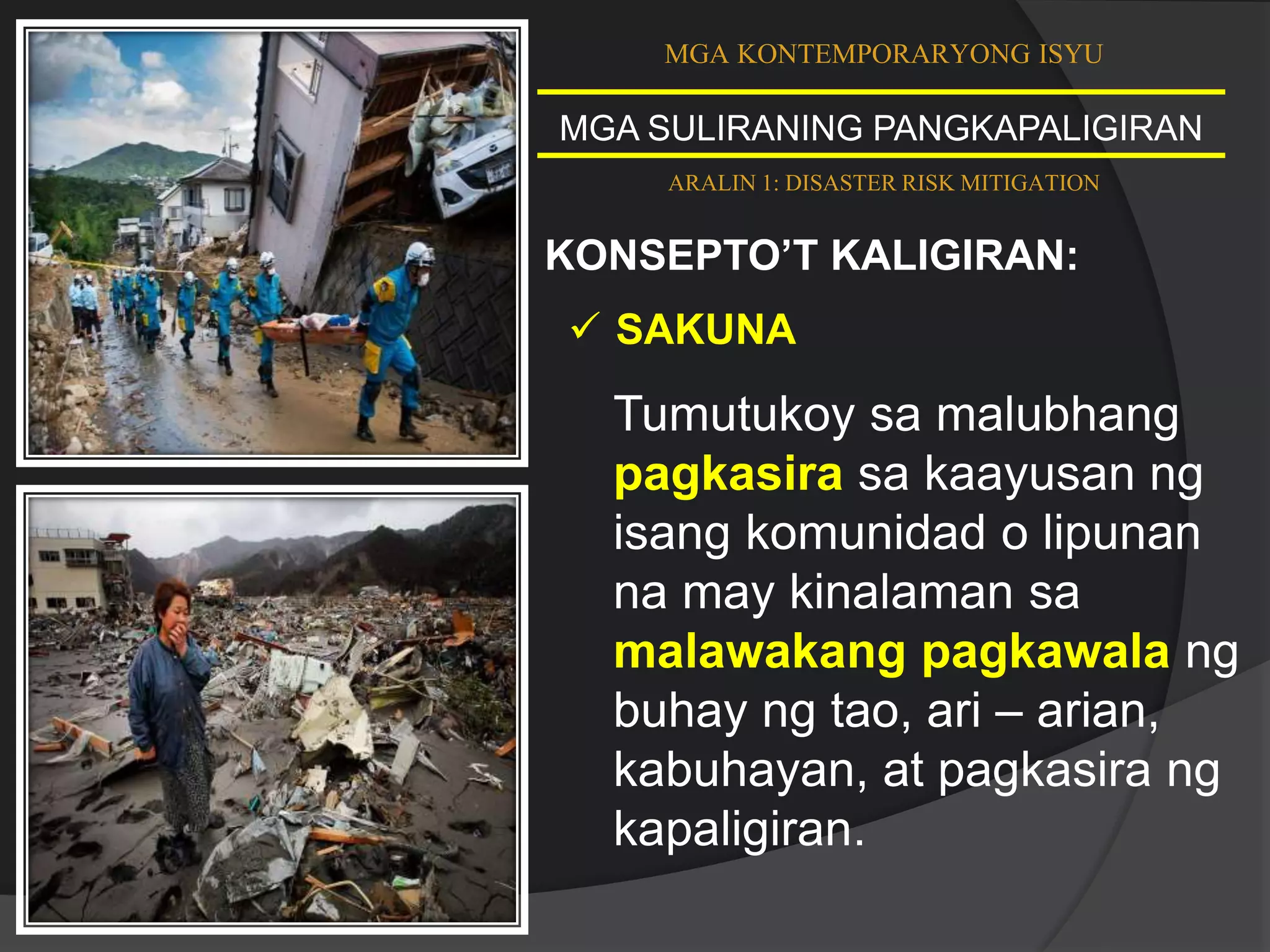 DISASTER RISK MITIGATION - AP 10 | PPTX