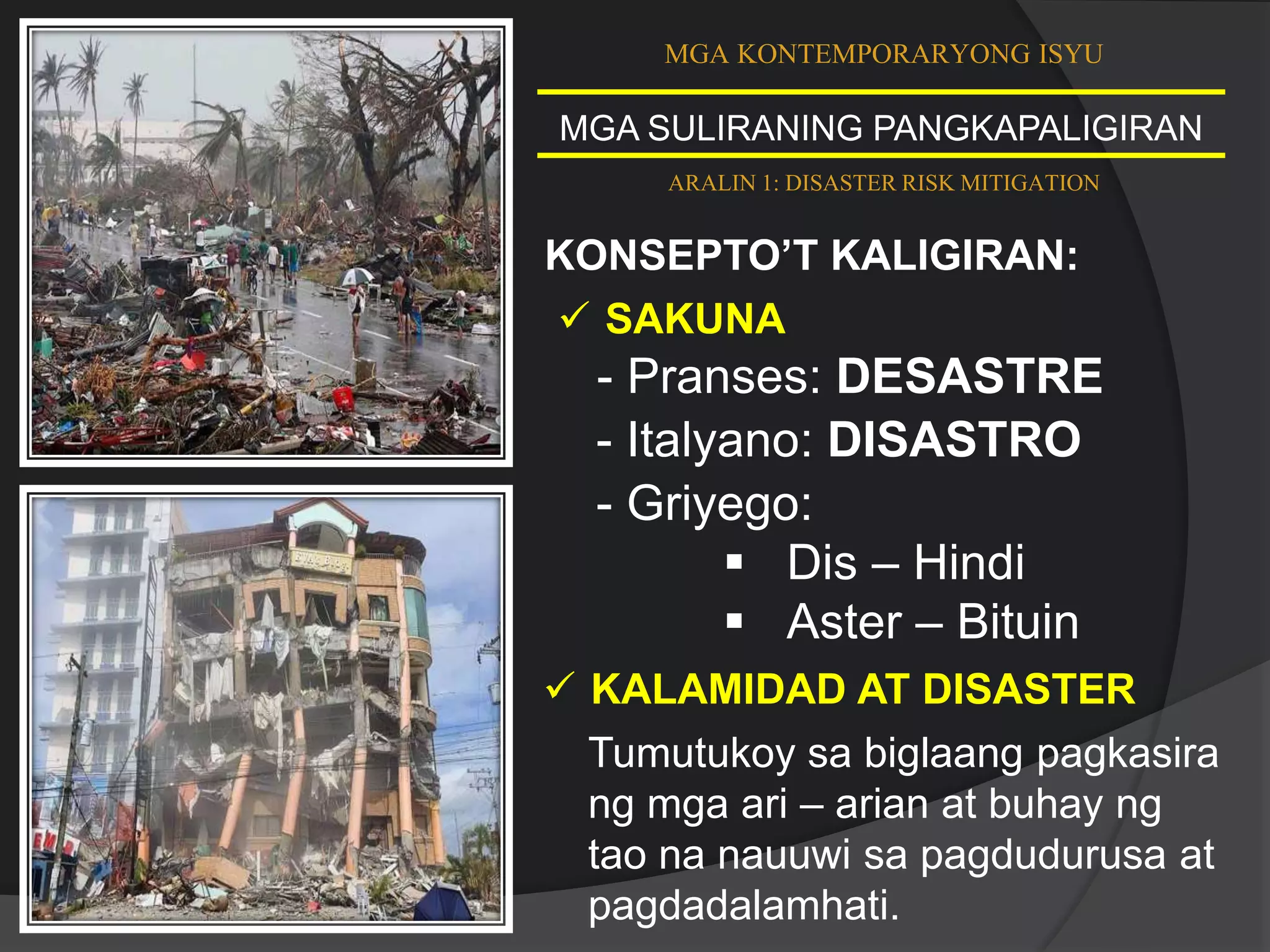 DISASTER RISK MITIGATION - AP 10 | PPTX