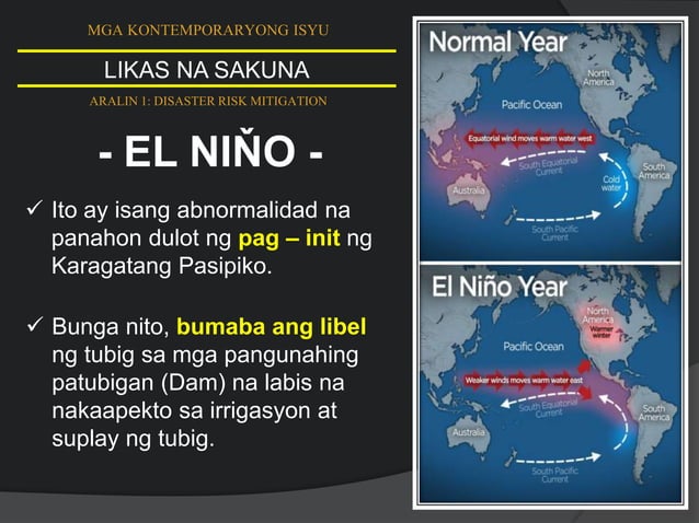 DISASTER RISK MITIGATION - AP 10 | PPTX