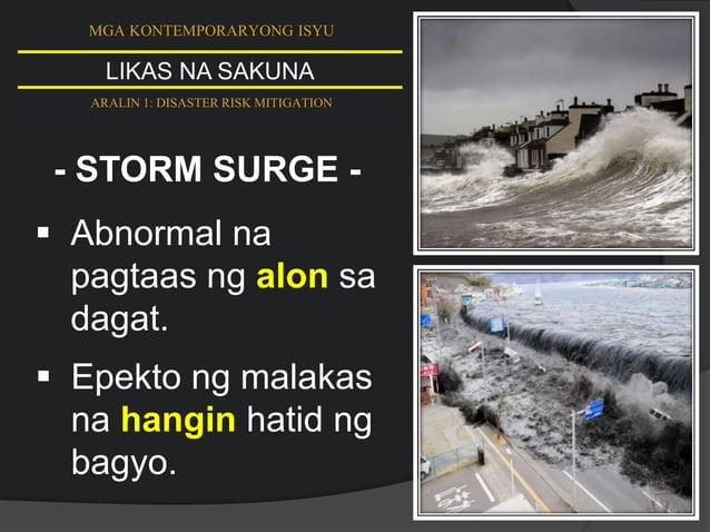 DISASTER RISK MITIGATION - AP 10 | PPTX