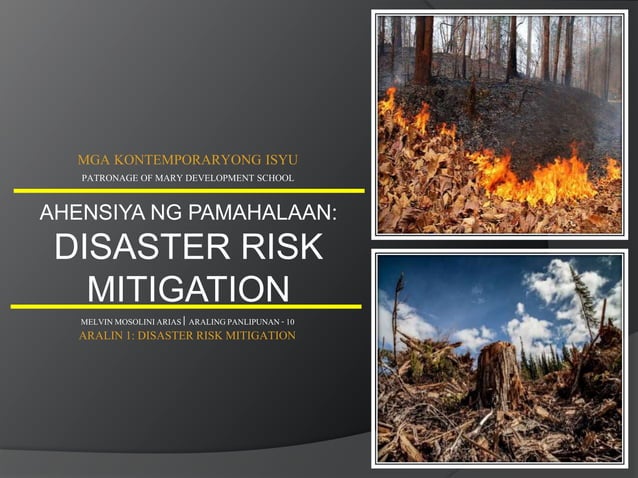 DISASTER RISK MITIGATION - AP 10 | PPTX