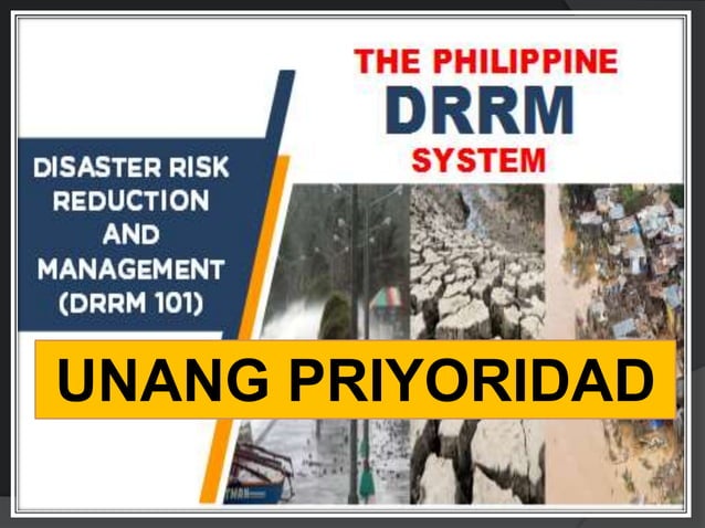 DISASTER RISK MITIGATION - AP 10 | PPTX