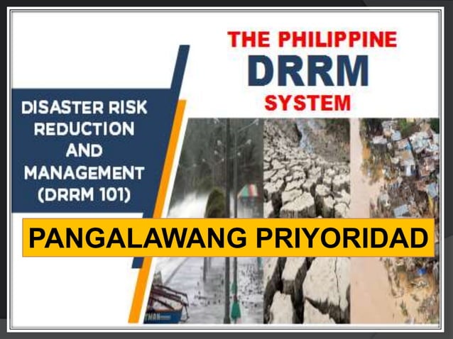 DISASTER RISK MITIGATION - AP 10 | PPTX
