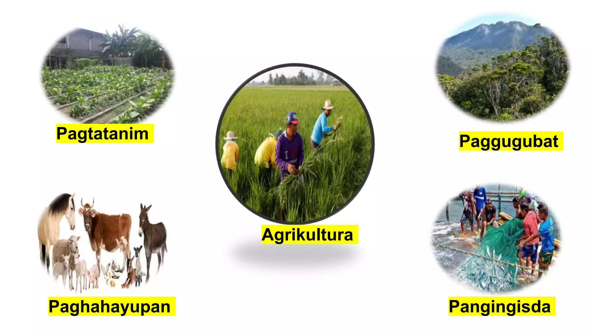 Isyu sa Paggawa.pptx