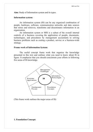 IT-314 MIS (Practicals) | DOC