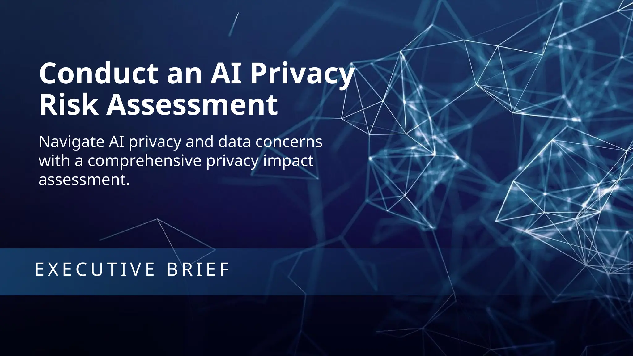 it-Condust-an-AI-Privacy-Risk-Assessment-Phases-1-3.pptx