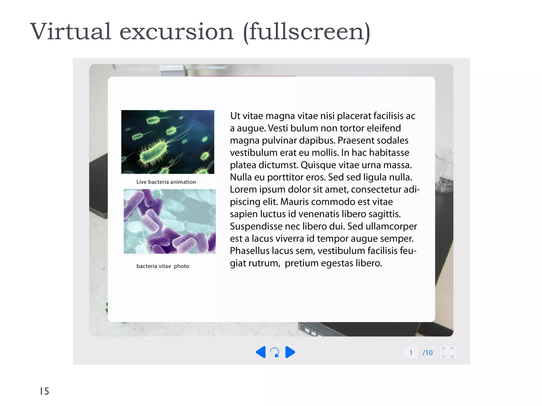 vish presentation | PPT