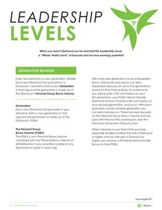 It Works Compensation Plan | PDF