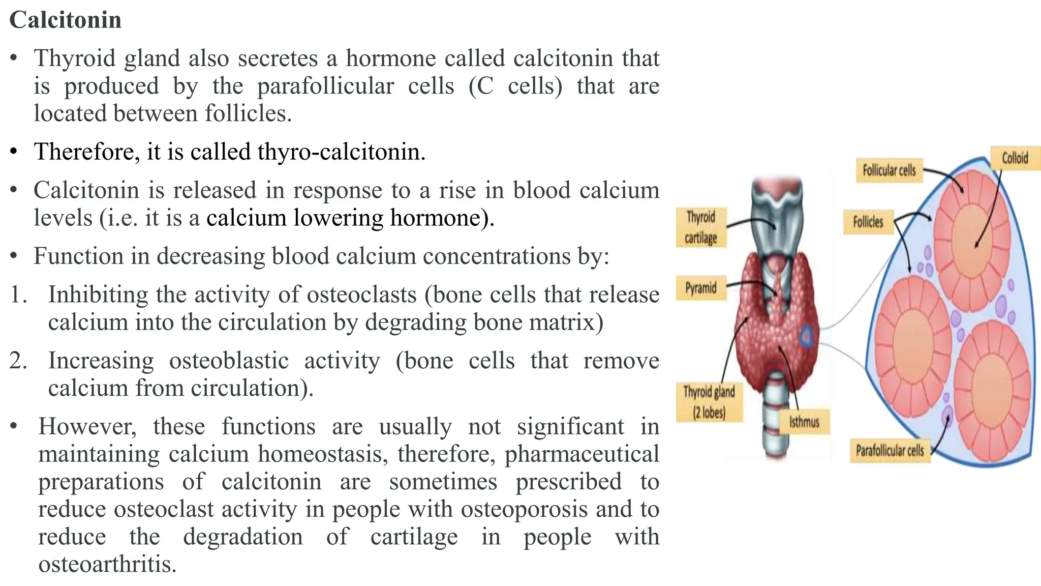 CALCIUM_HOMEOSTASIS_(DR_EZE_EJIKE_DANIEL_DECEMBER_2022).pptx