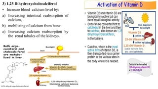 CALCIUM_HOMEOSTASIS_(DR_EZE_EJIKE_DANIEL_DECEMBER_2022).pptx