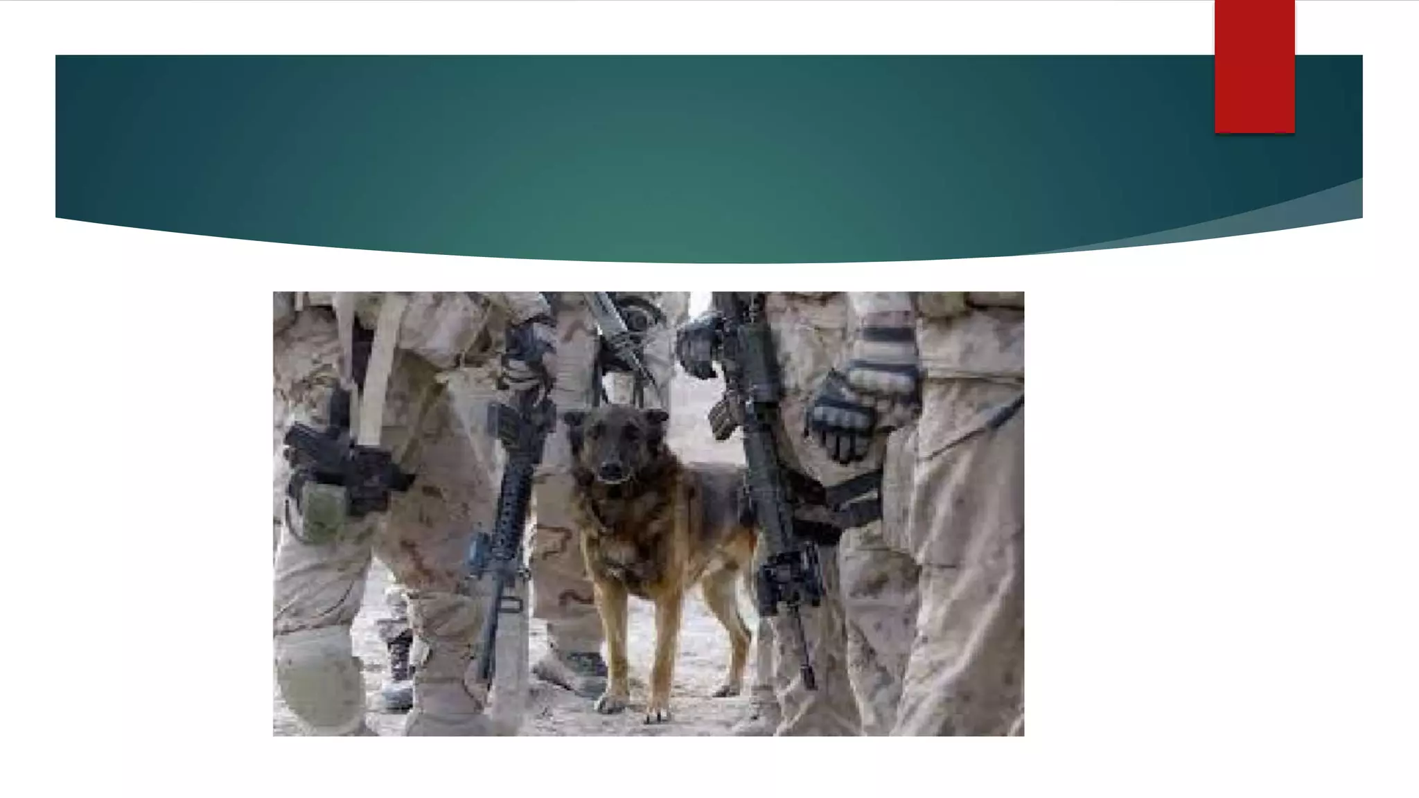 Testing and Certifications, ITAC | PPT