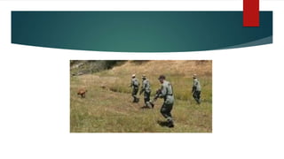 Testing and Certifications, ITAC | PPT