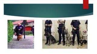 Testing and Certifications, ITAC | PPT