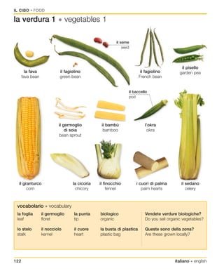 Italian english bilingual visual dictionary (dk visual dictionaries) | PDF