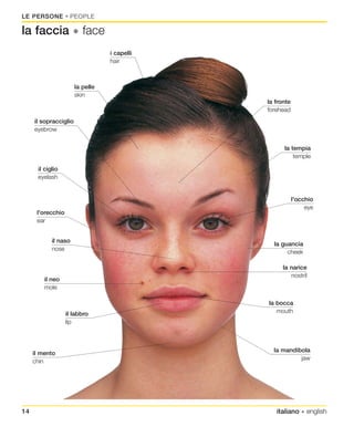 Italian english bilingual visual dictionary (dk visual dictionaries) | PDF