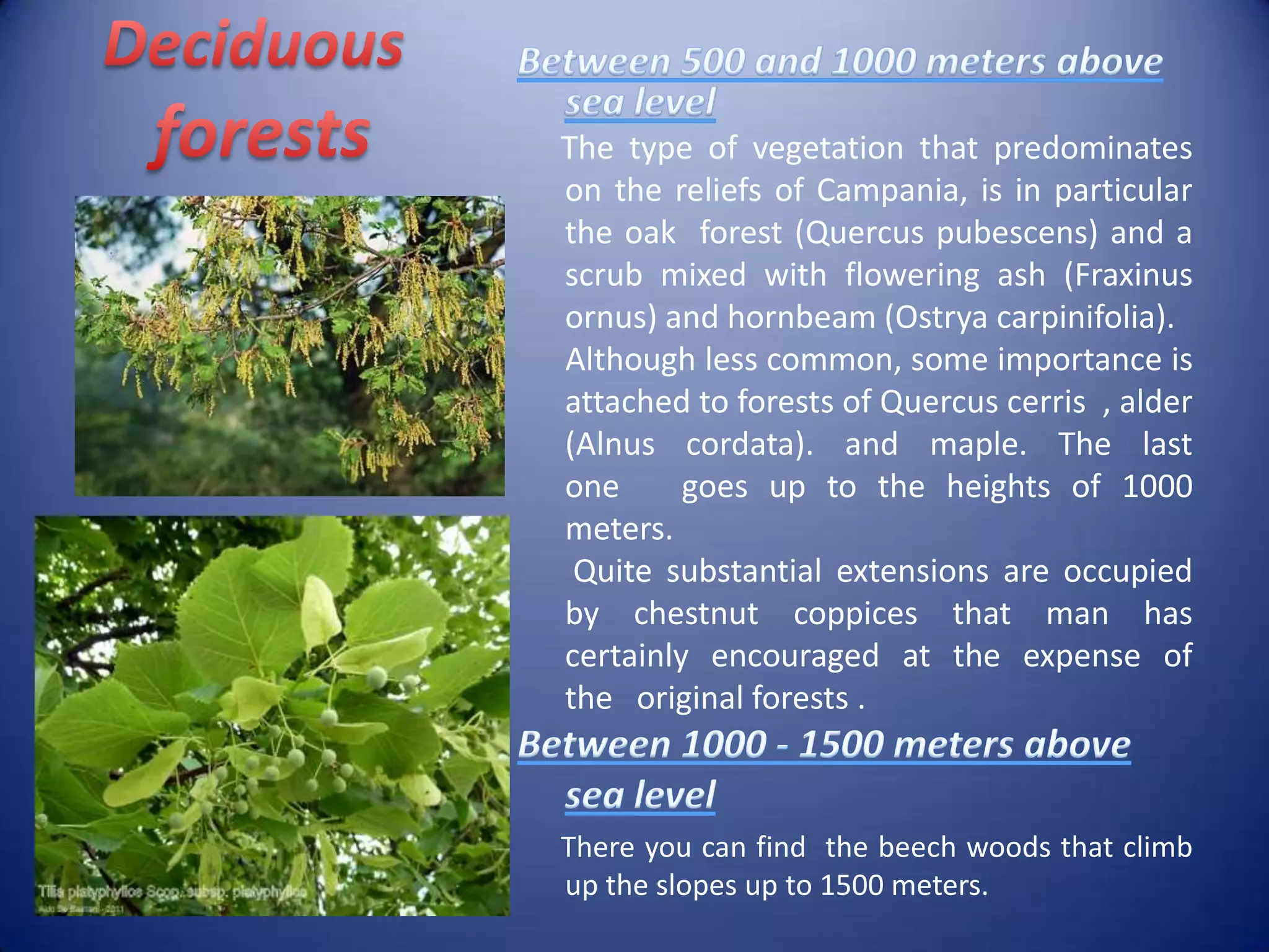 Italian flora and fauna | PPTX