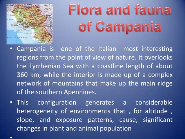 Italian flora and fauna | PPTX