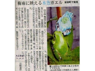 Elena Galli Giallini left Japan after she collected these scary images ...