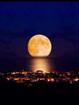 When the Moon Hits Your Eye | Max Swahn | PPT