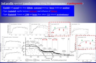 Soil Spectroscopy to monitor the state of soil resources in the present ...