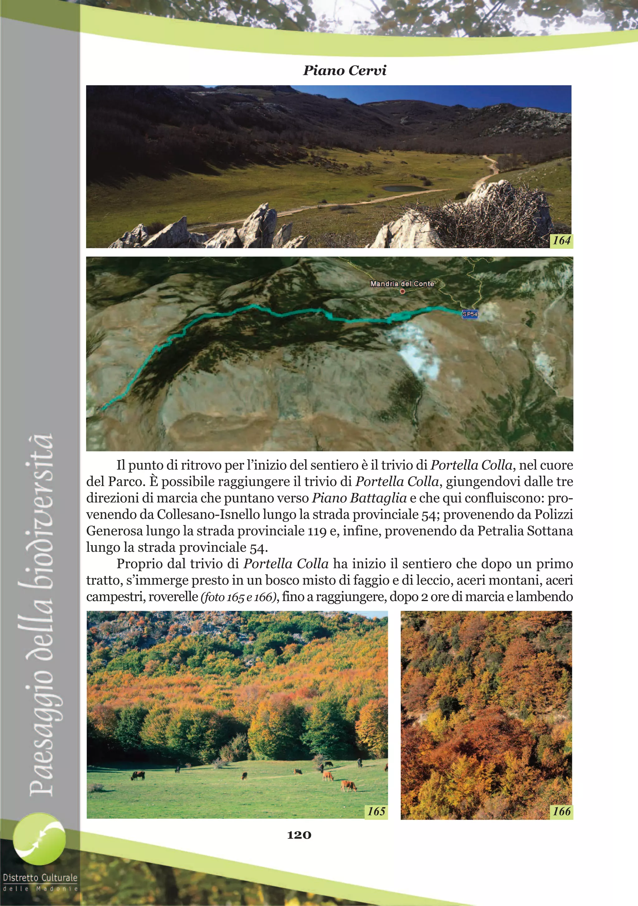 piano cervi | PDF