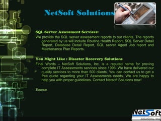 IT Assessments at Netsoft Solutions, Inc. | PPT