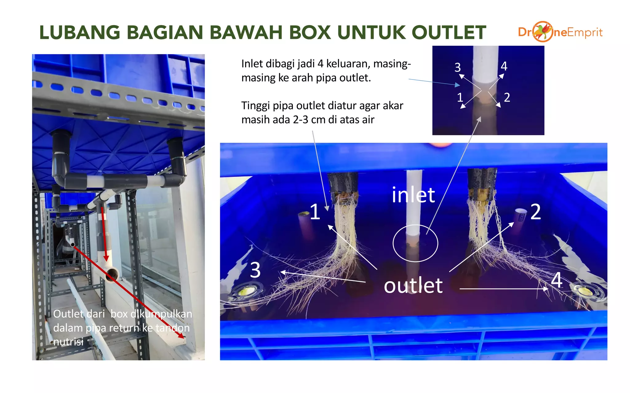 TEKNIK TANAM MELON HIDROPONIK JEPANG ALA DRONE EMPRIT | PDF