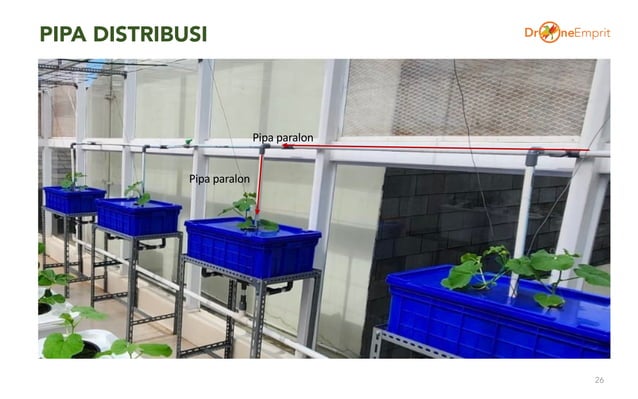 TEKNIK TANAM MELON HIDROPONIK JEPANG ALA DRONE EMPRIT | PDF