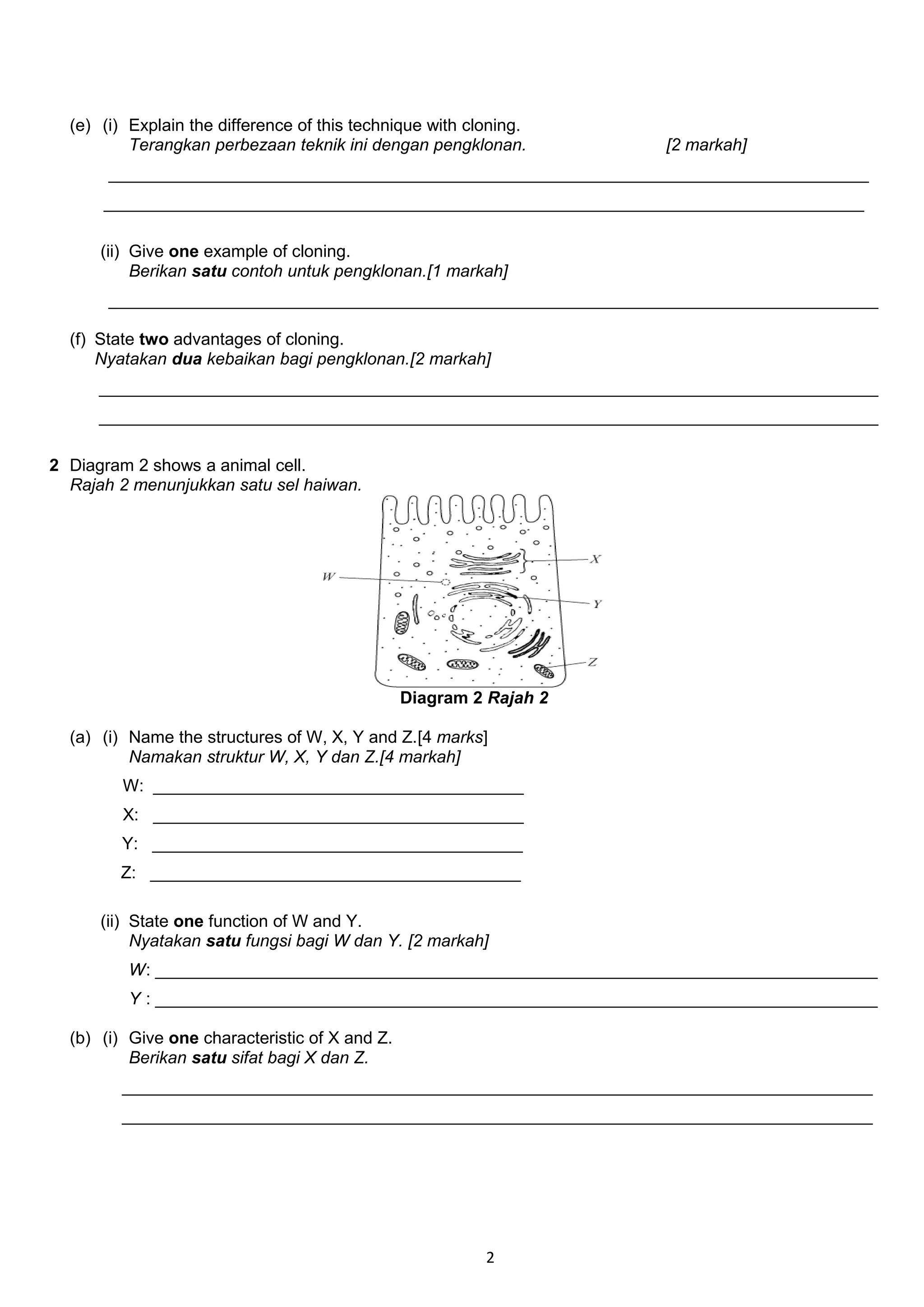 It bio f4 final year examination (bl) | DOC