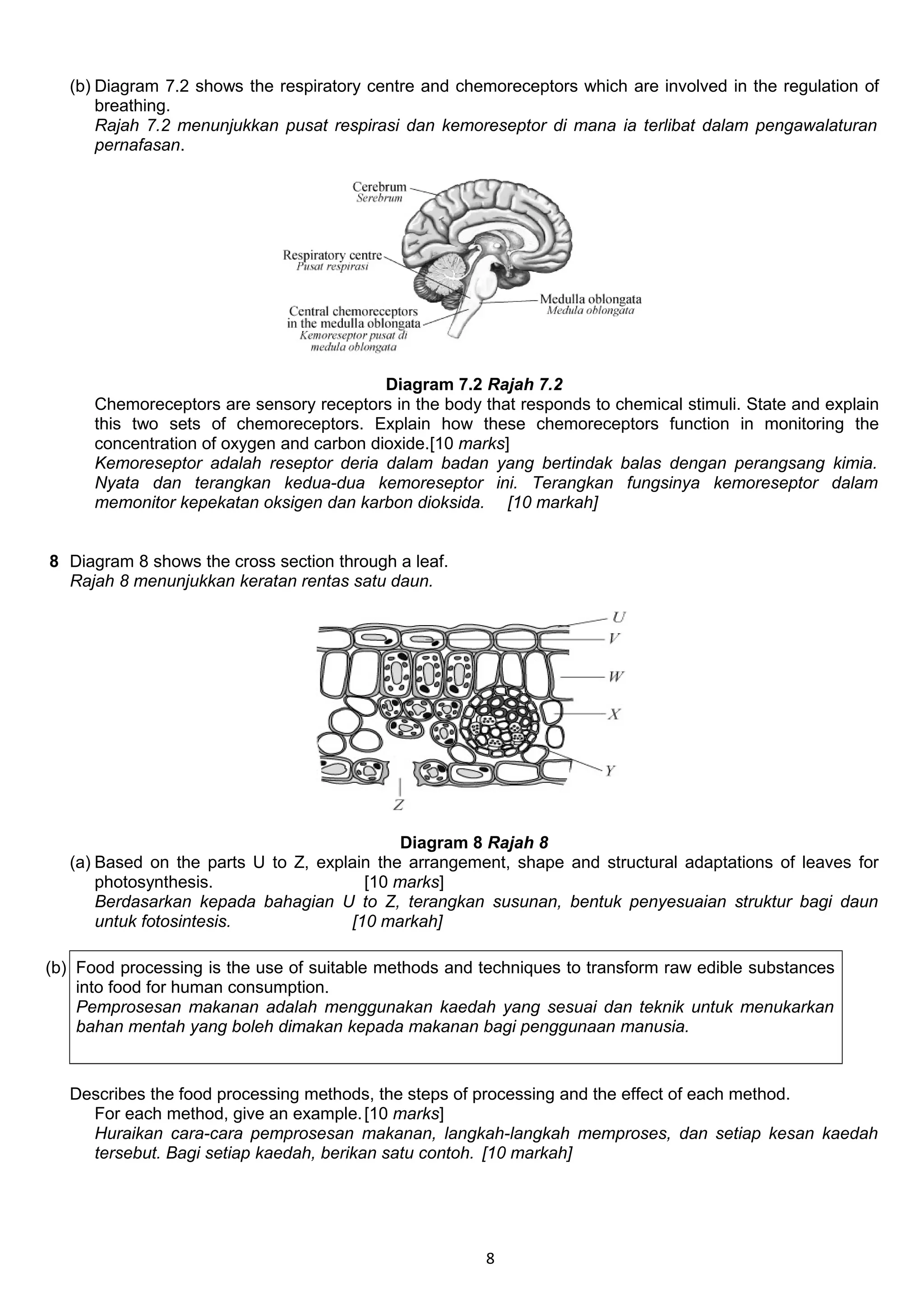 It bio f4 final year examination (bl) | PDF