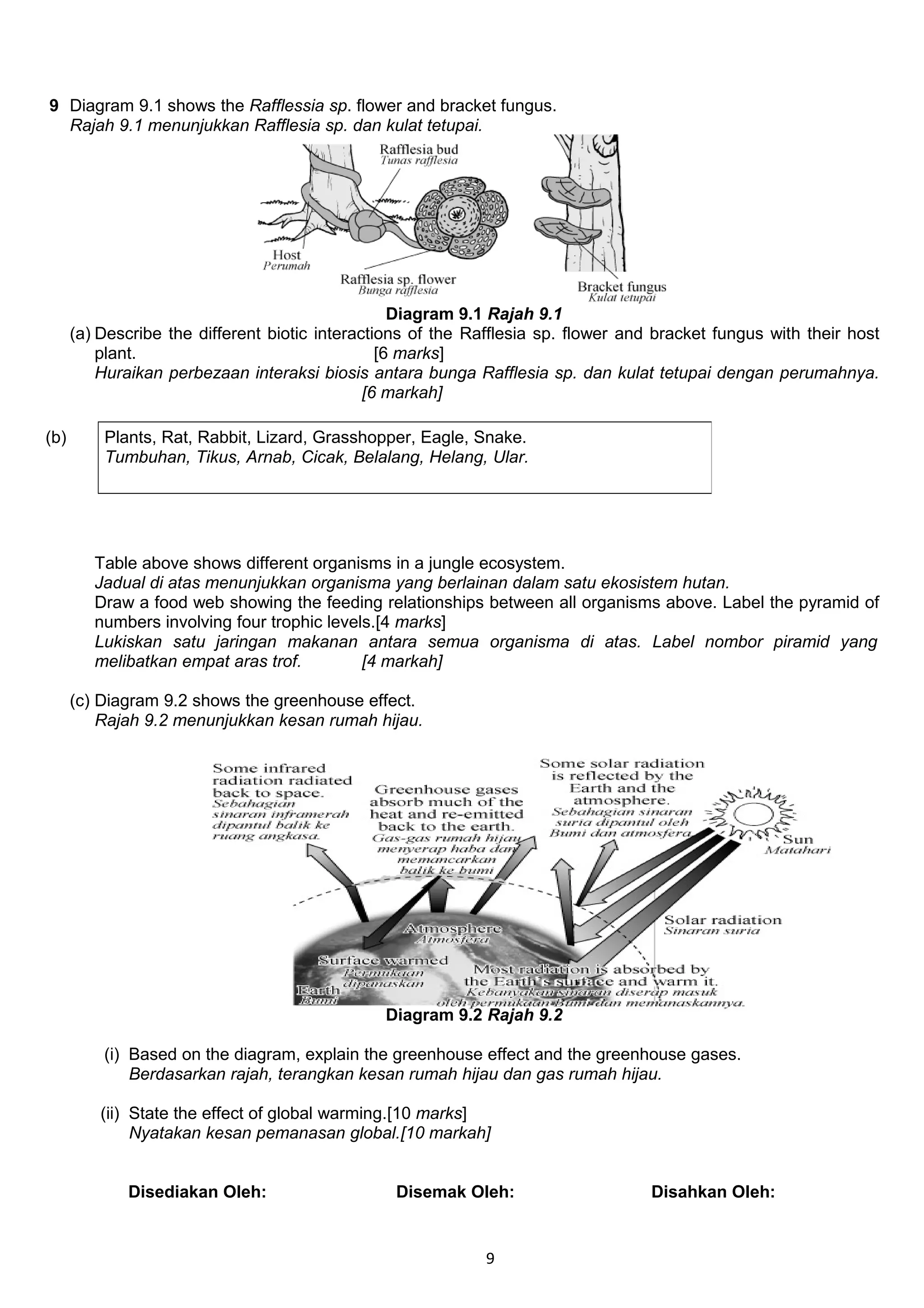It bio f4 final year examination (bl) | PDF
