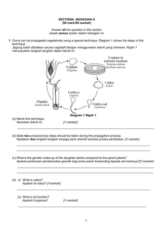 It bio f4 final year examination (bl) | DOC