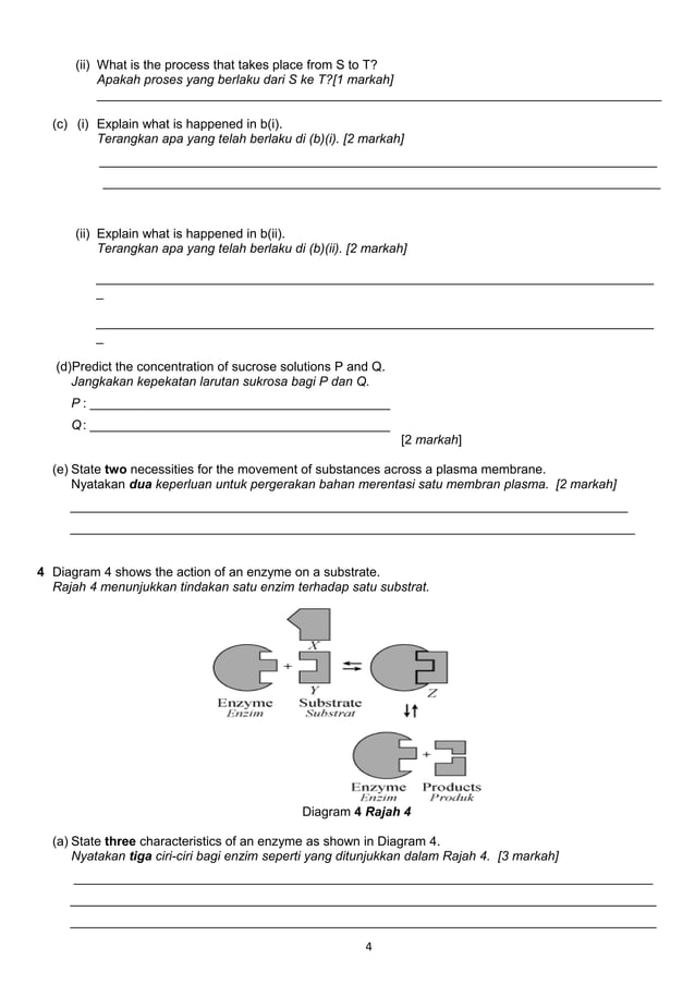 It bio f4 final year examination (bl) | PDF